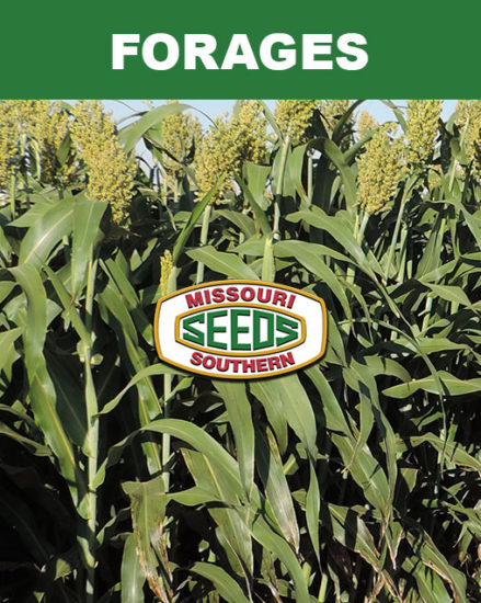 Home - Missouri Southern Seed