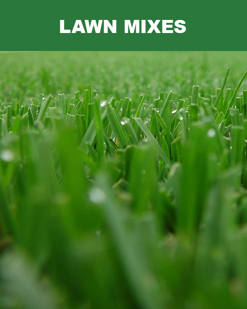 Turf Products Category - Missouri Southern Seed