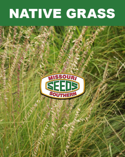 Home - Missouri Southern Seed