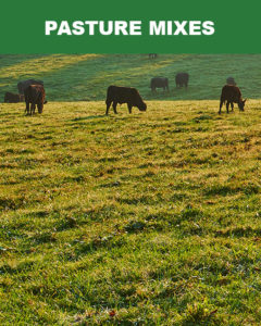 Forages Category - Missouri Southern Seed