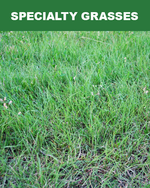 Turf Products Category - Missouri Southern Seed