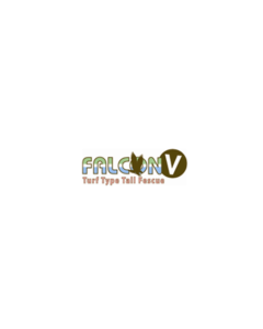 Falcon IV Tall Fescue - Missouri Southern Seed
