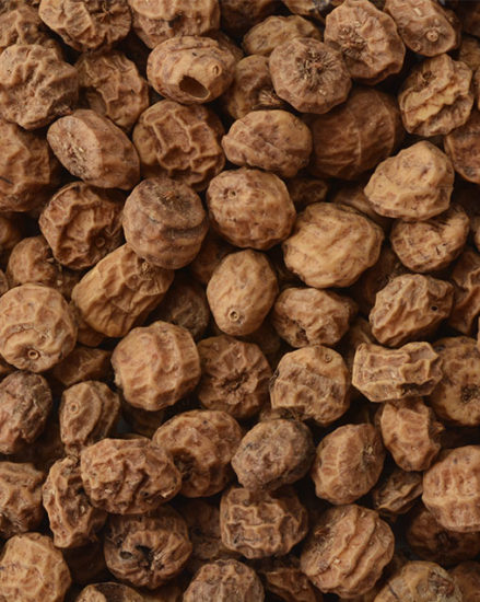 Wildlife Seed Category - Missouri Southern Seed