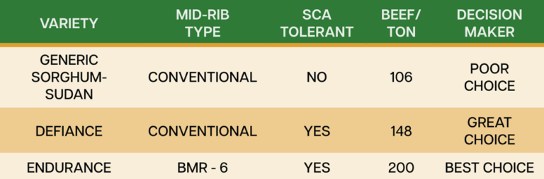 Endurance BMR Sorghum Sudangrass - Missouri Southern Seed