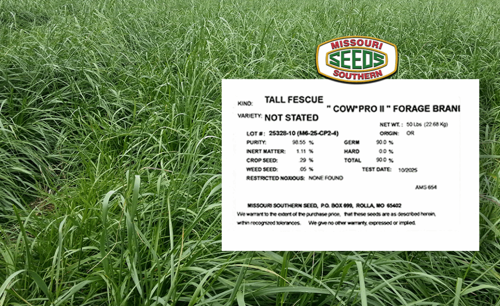 Seed Smarts: Picking Quality Seed Without Having to Have a Degree ...